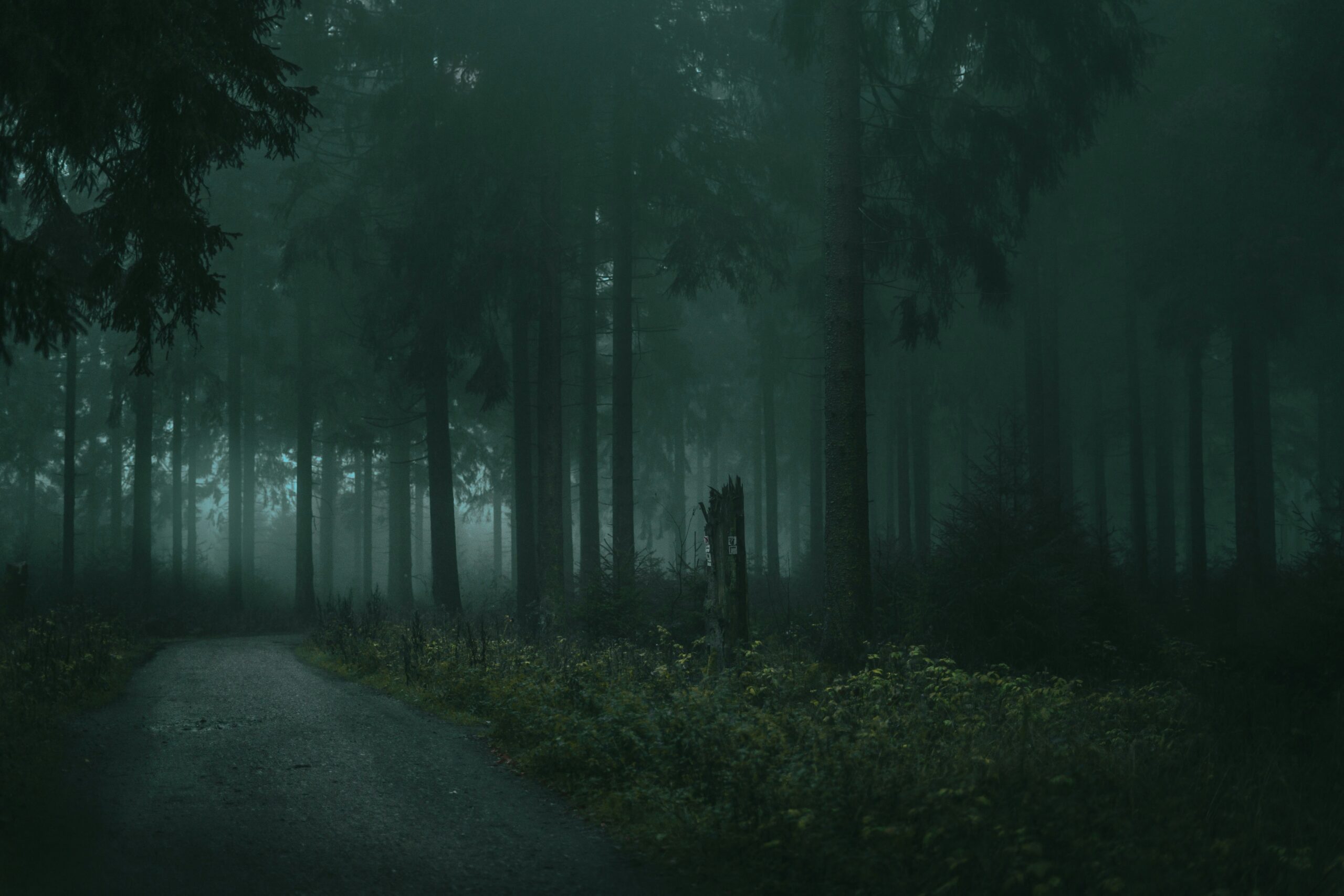 Jump Scares in Horror: Why They Work (And When They Don’t)